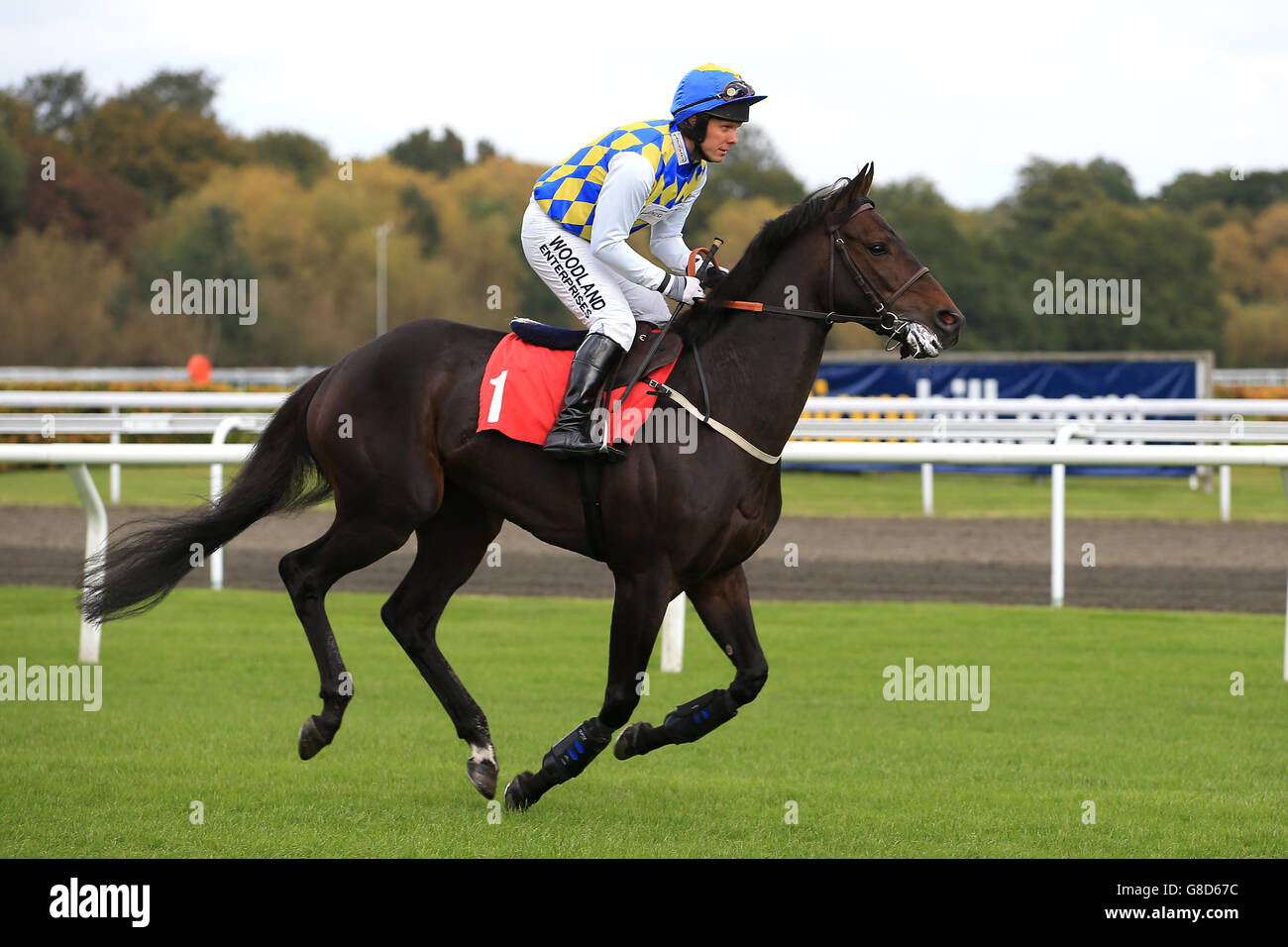 Jockey matthew batchelor on big mcintosh william hill hi-res stock ...