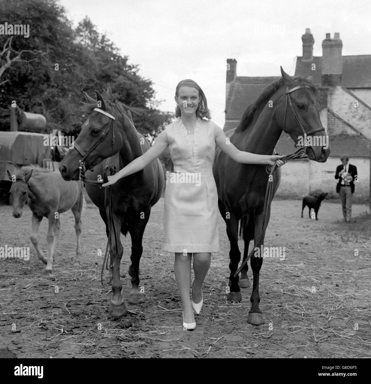 Beauty Queen and Equestrian Winner - Joy Evans - Hill Farm, Shropshire ...