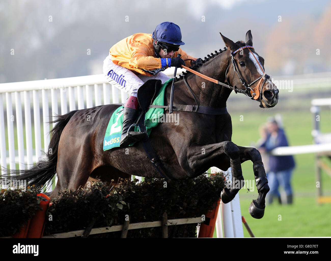 Horse racing charlie hall meeting hi-res stock photography and images ...