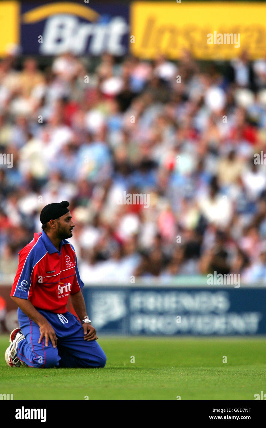 Cricket top half stock brit insurance board hi-res stock photography ...