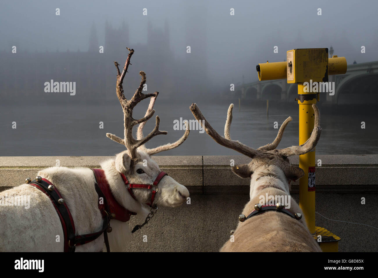Get Santa film Stock Photo - Alamy