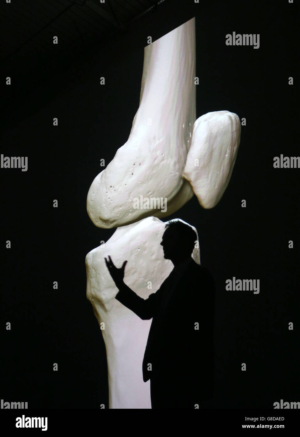 3D Definitive Human project Stock Photo - Alamy