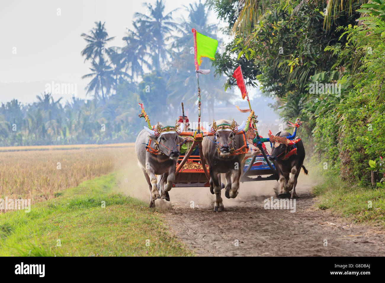 Bali temple decorations hi-res stock photography and images - Alamy