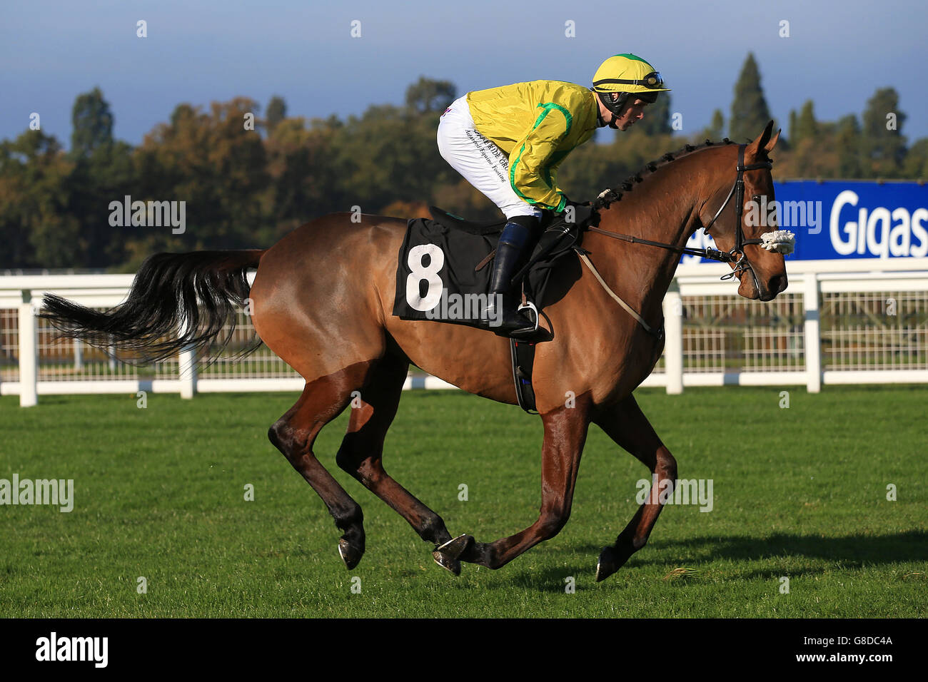 Fillies Club High Resolution Stock Photography and Images - Alamy