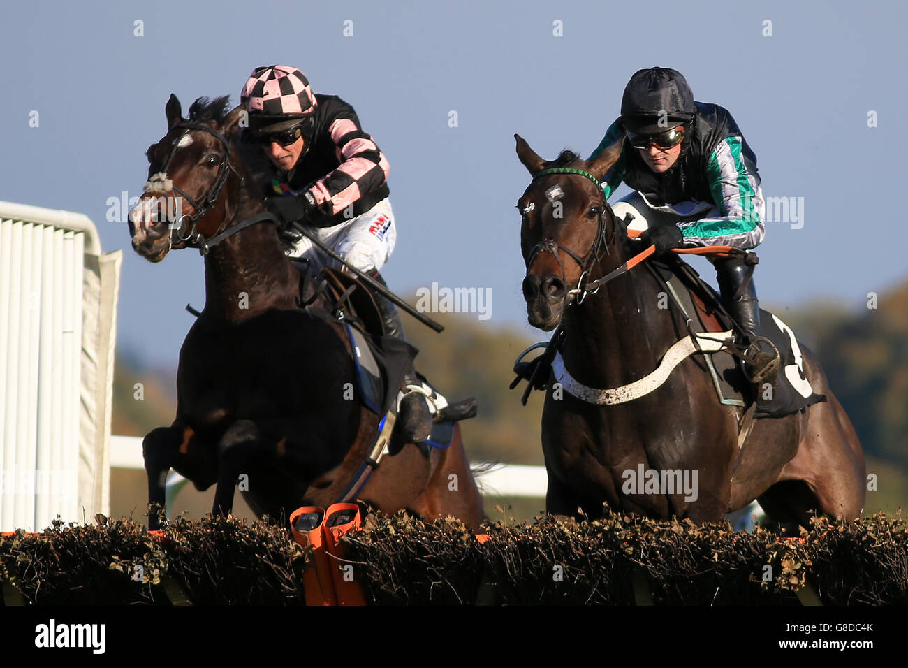 Altior horse racing hi-res stock photography and images - Alamy