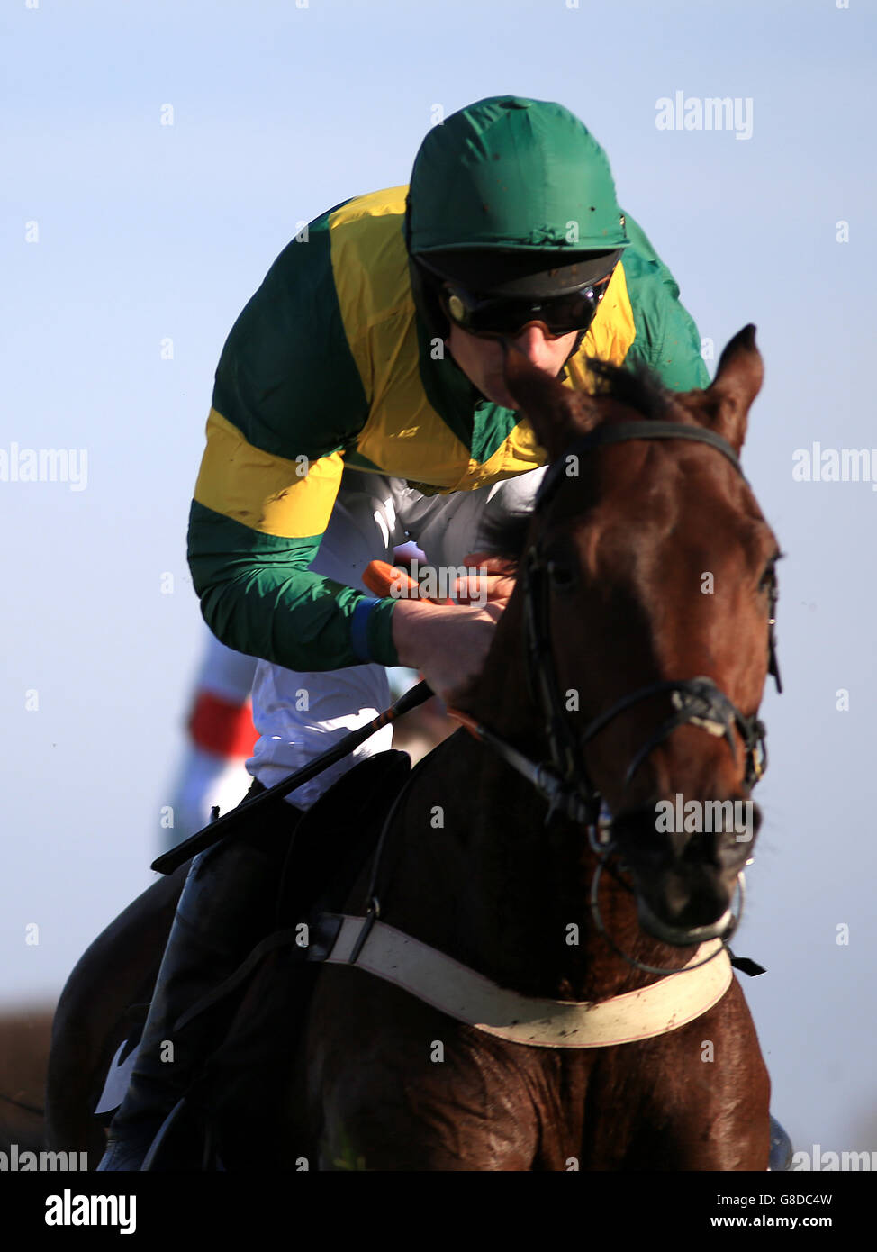 Gun horse hi-res stock photography and images - Alamy