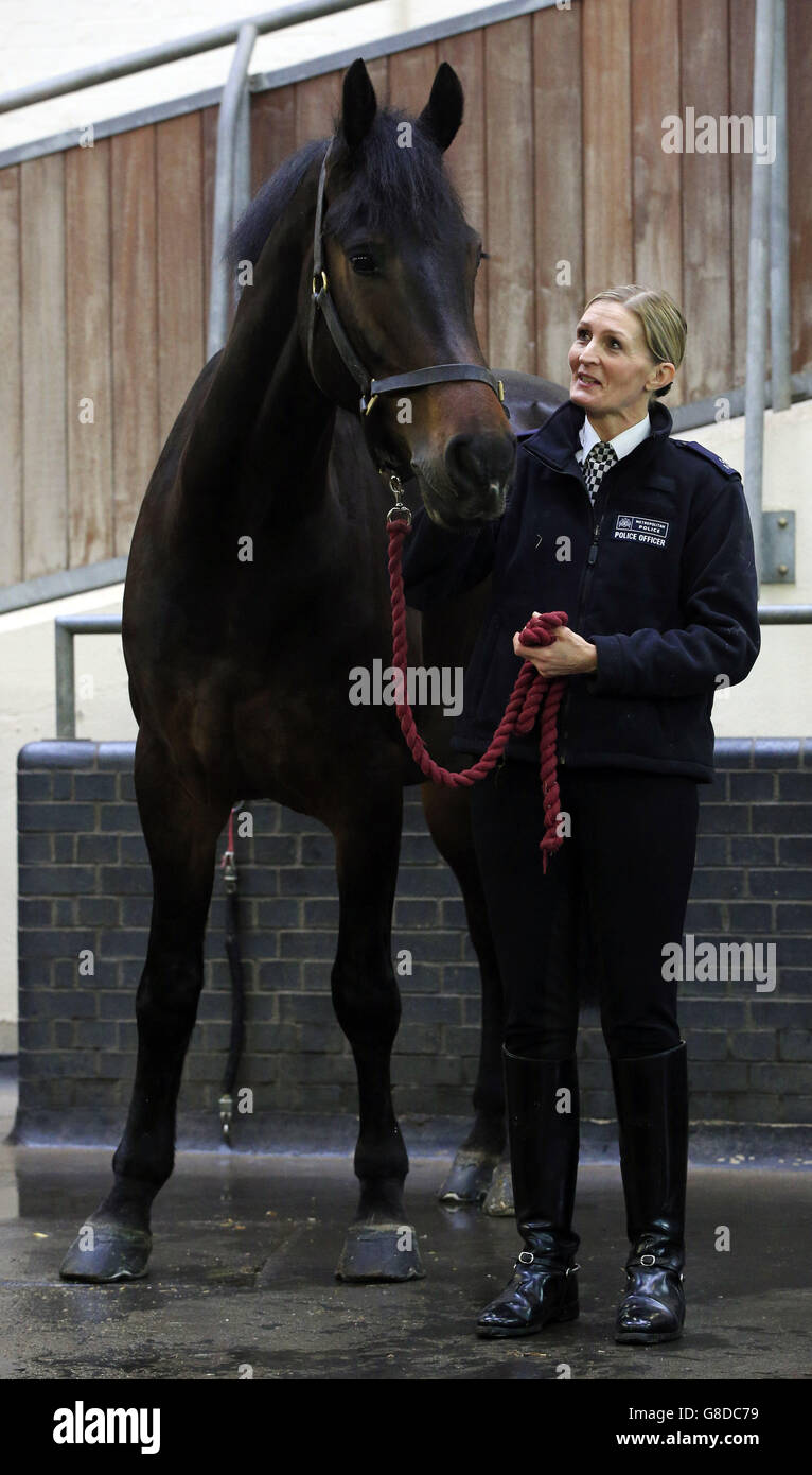 PC Clare Rees stands beside police horse named 'Quixote' at the ...