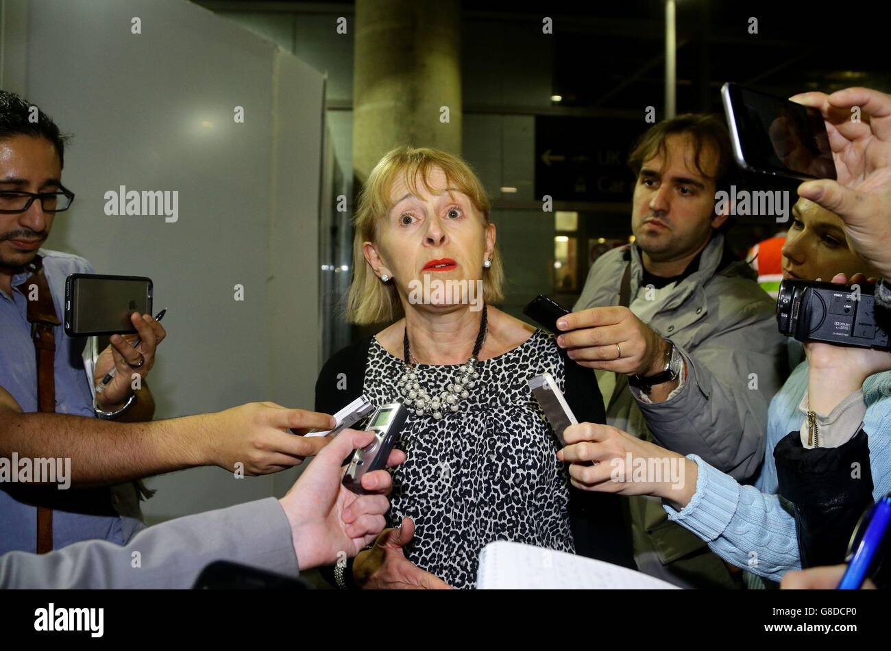 Bull transport hi-res stock photography and images - Alamy