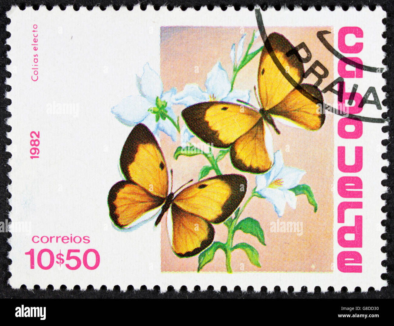 A stamp printed in Cape Verde shows the butterfly Malanitis lede on ...
