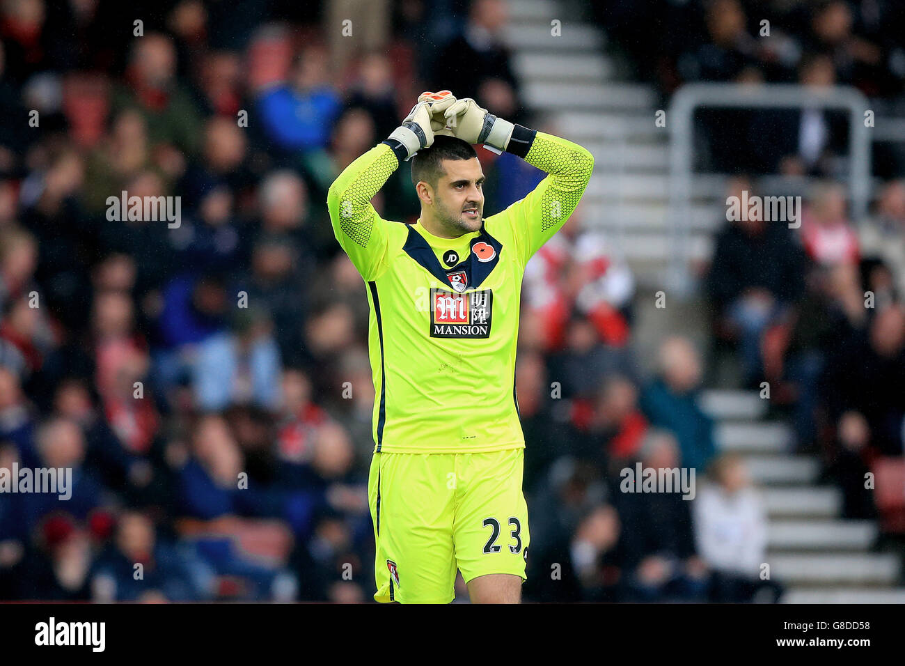 AFC Bournemouth goalkeeper Adam Federici during the Barclays Premier ...