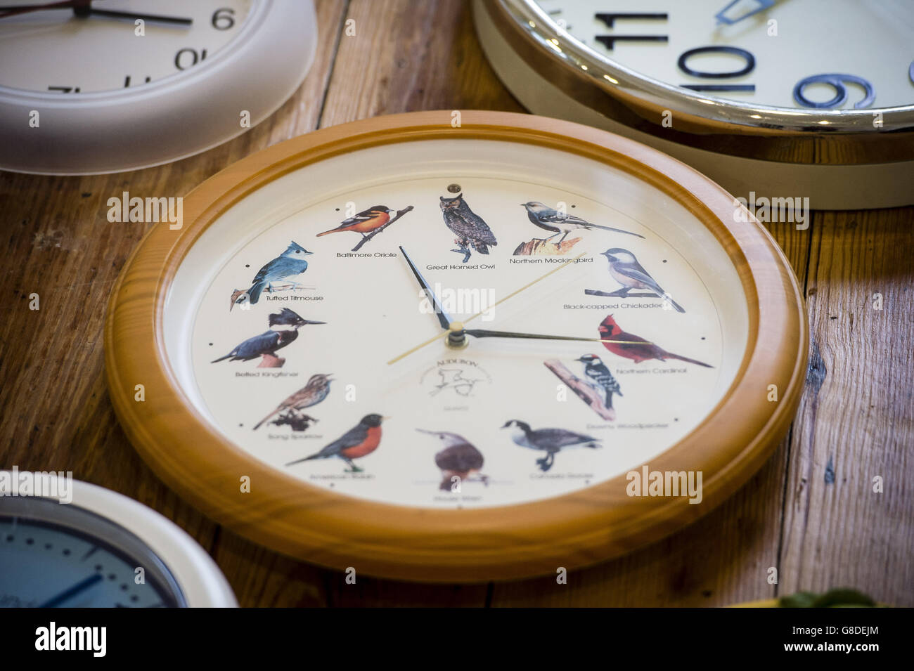 A wall clock that has birds instead of numbers, which is one of 1000 ...