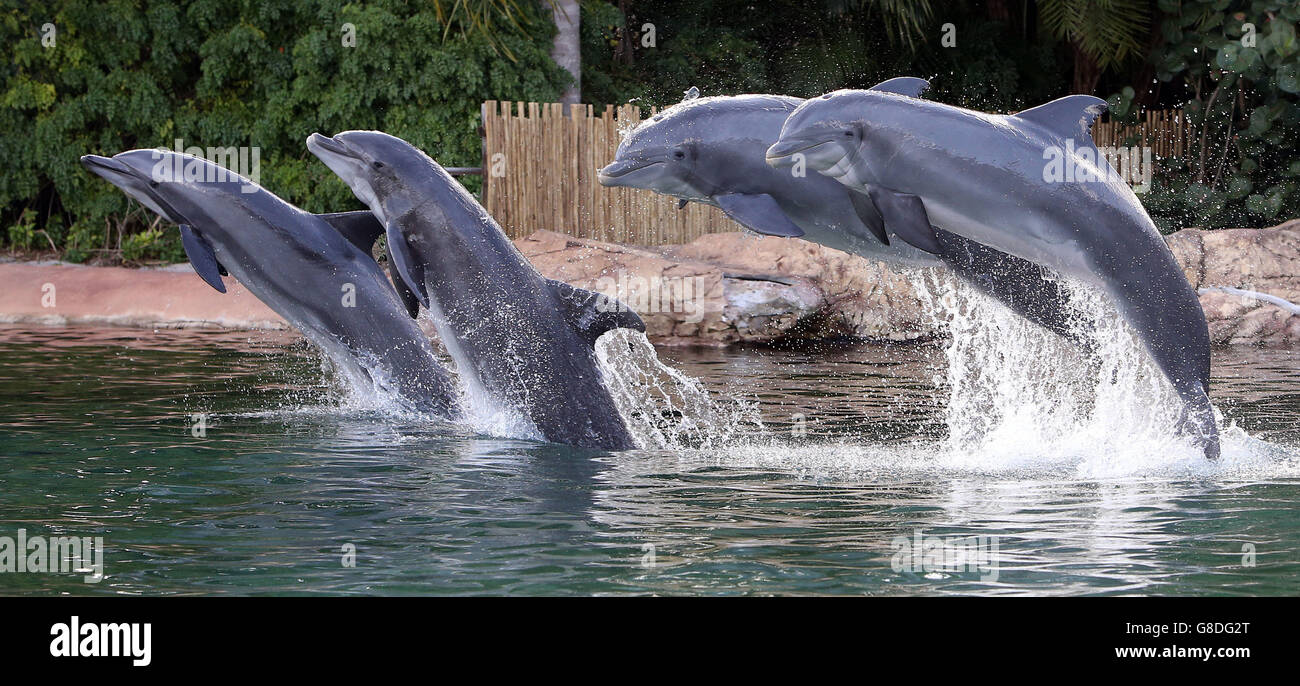 Dreamflight charity trip Stock Photo - Alamy