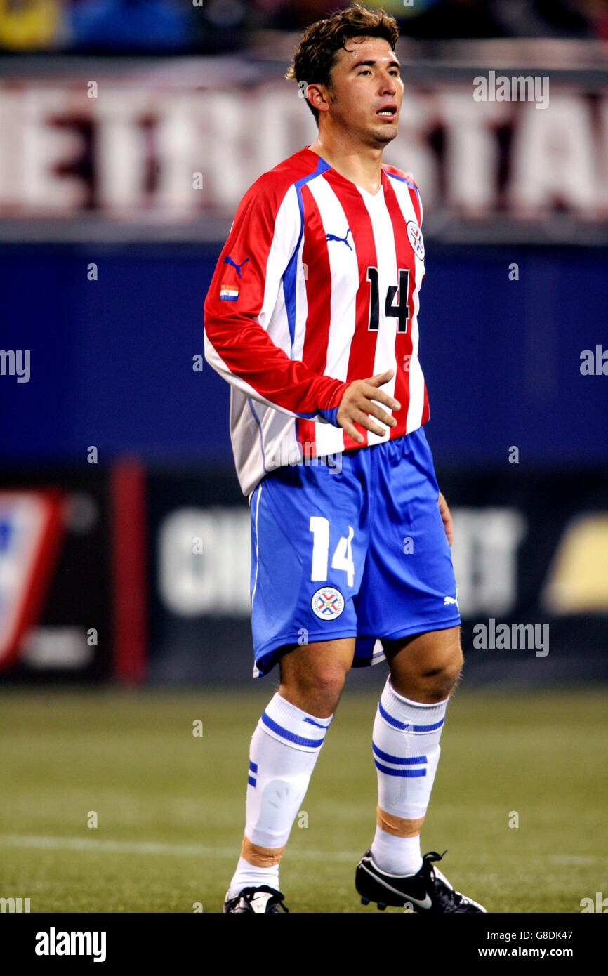 Soccer international friendly ecuador v paraguay giants stadium hi-res ...