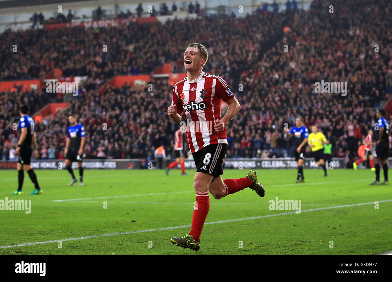 Southampton's Steven Davis celebrates scoring his sides first goal of ...