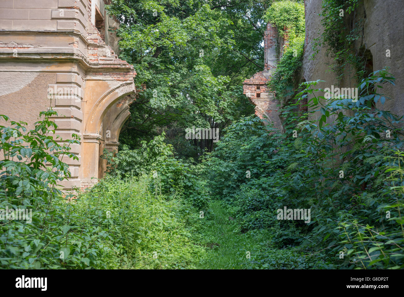 Schonfeld hi-res stock photography and images - Alamy