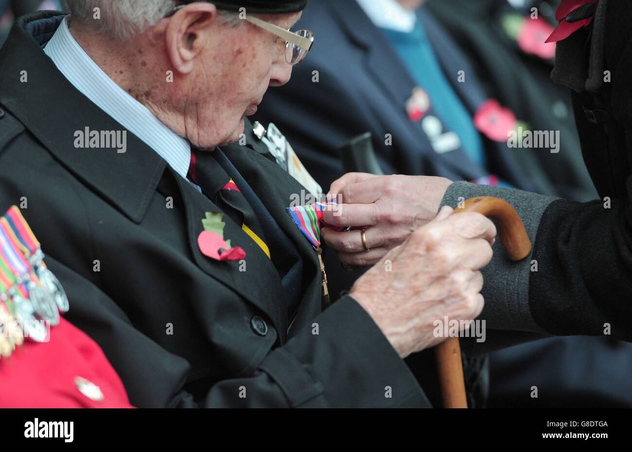 Royal remembrance poppyappealcoll hi-res stock photography and images ...