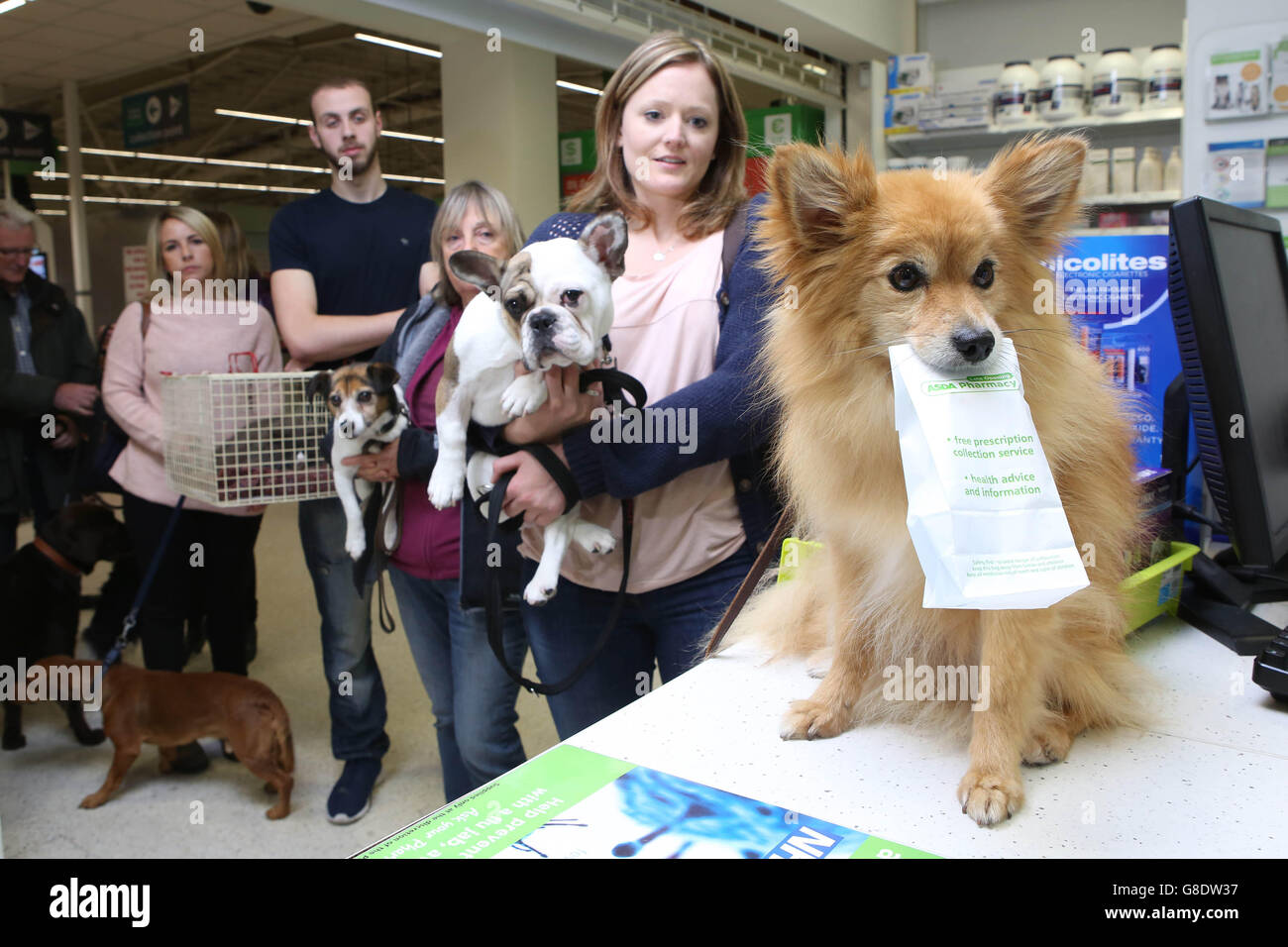 News animals prescription hi-res stock photography and images - Alamy