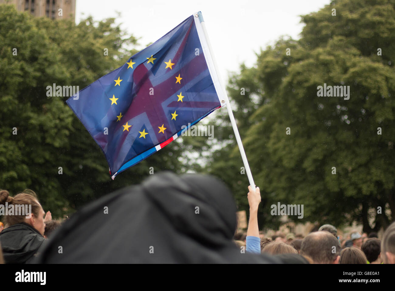 Brexit flag hi-res stock photography and images - Alamy