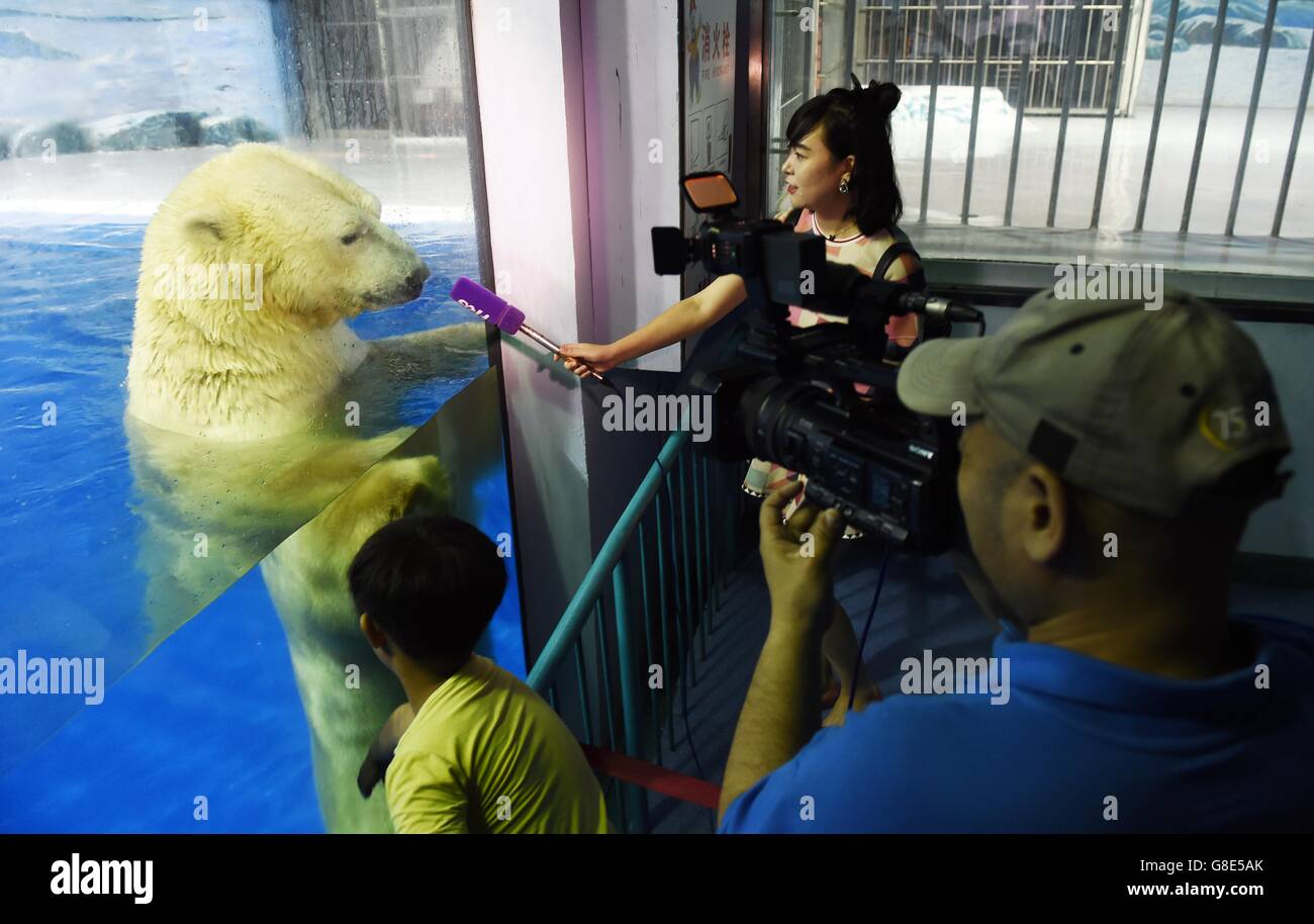 China’s in the arctic hi-res stock photography and images - Alamy