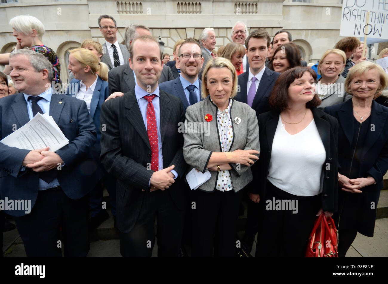 London, UK. 29th June, 2016. cross party MPS in support. waspi campaign ...