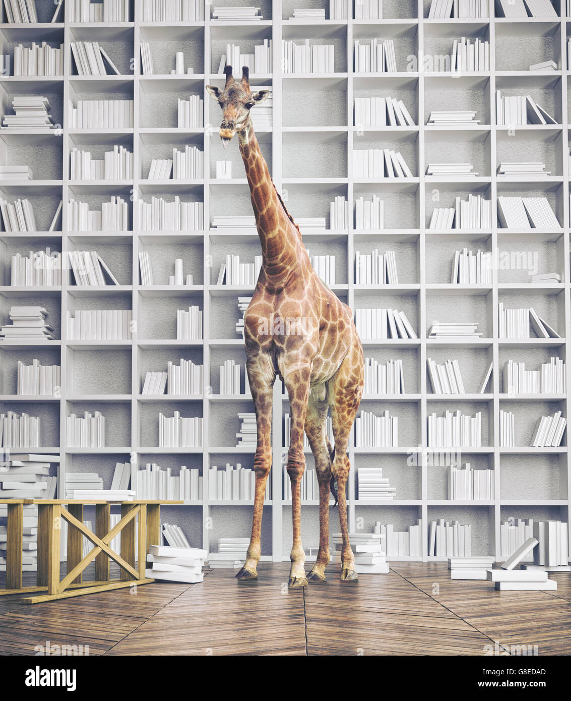 Home library book shelves hi-res stock photography and images - Alamy