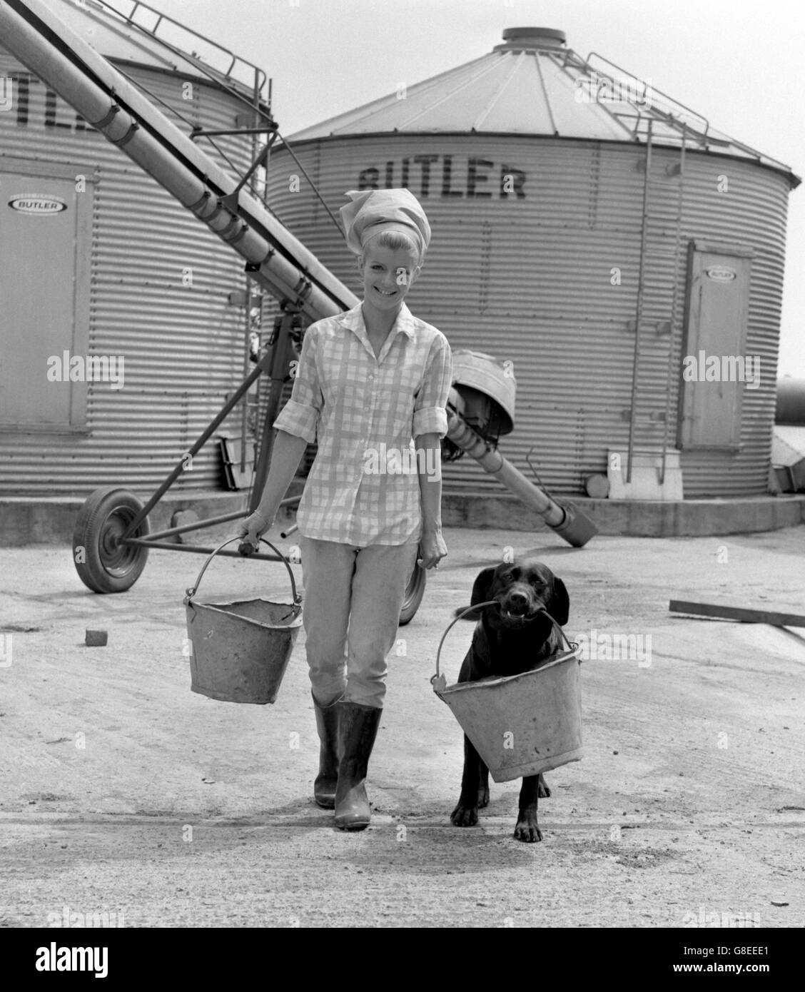 The outdoor life is helping farmer's wife Pam Neville - with the farm ...