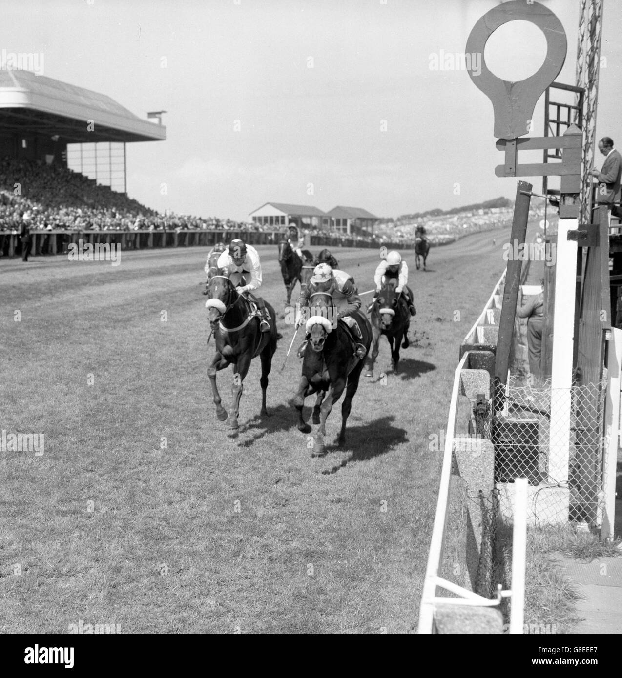 A r f Black and White Stock Photos & Images - Alamy