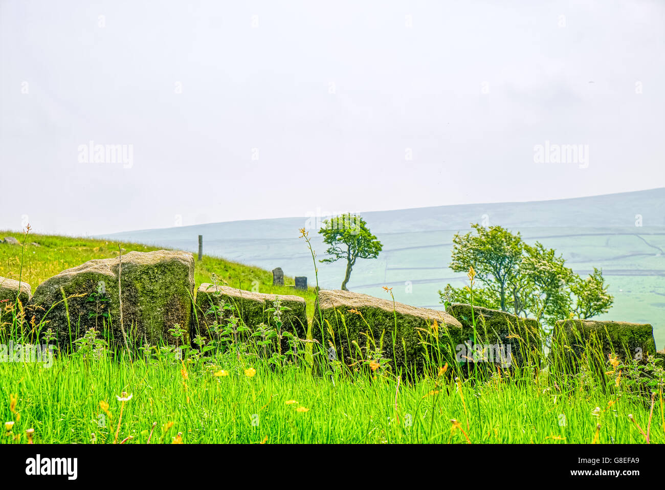 Wycoller Country Park Stock Photo - Alamy