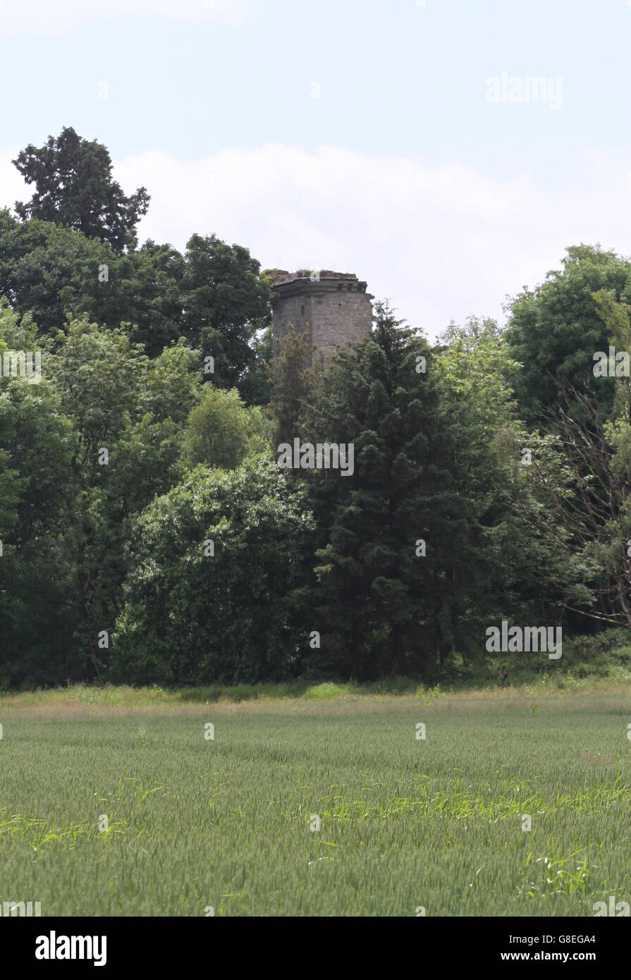 Elphinstone tower dunmore hi-res stock photography and images - Alamy