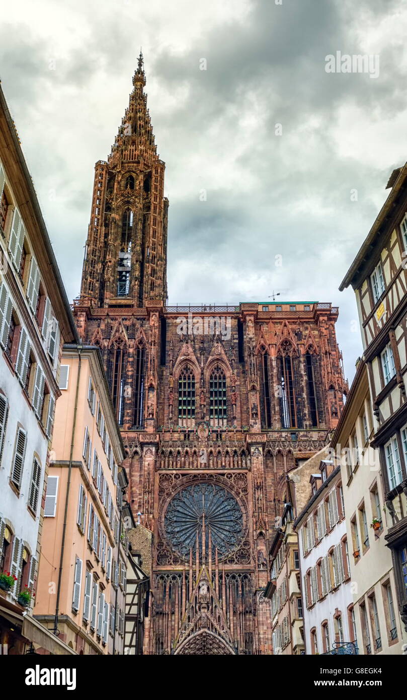 Cathedrale Notre-Dame or Cathedral of Our Lady of Strasbourg behing ...