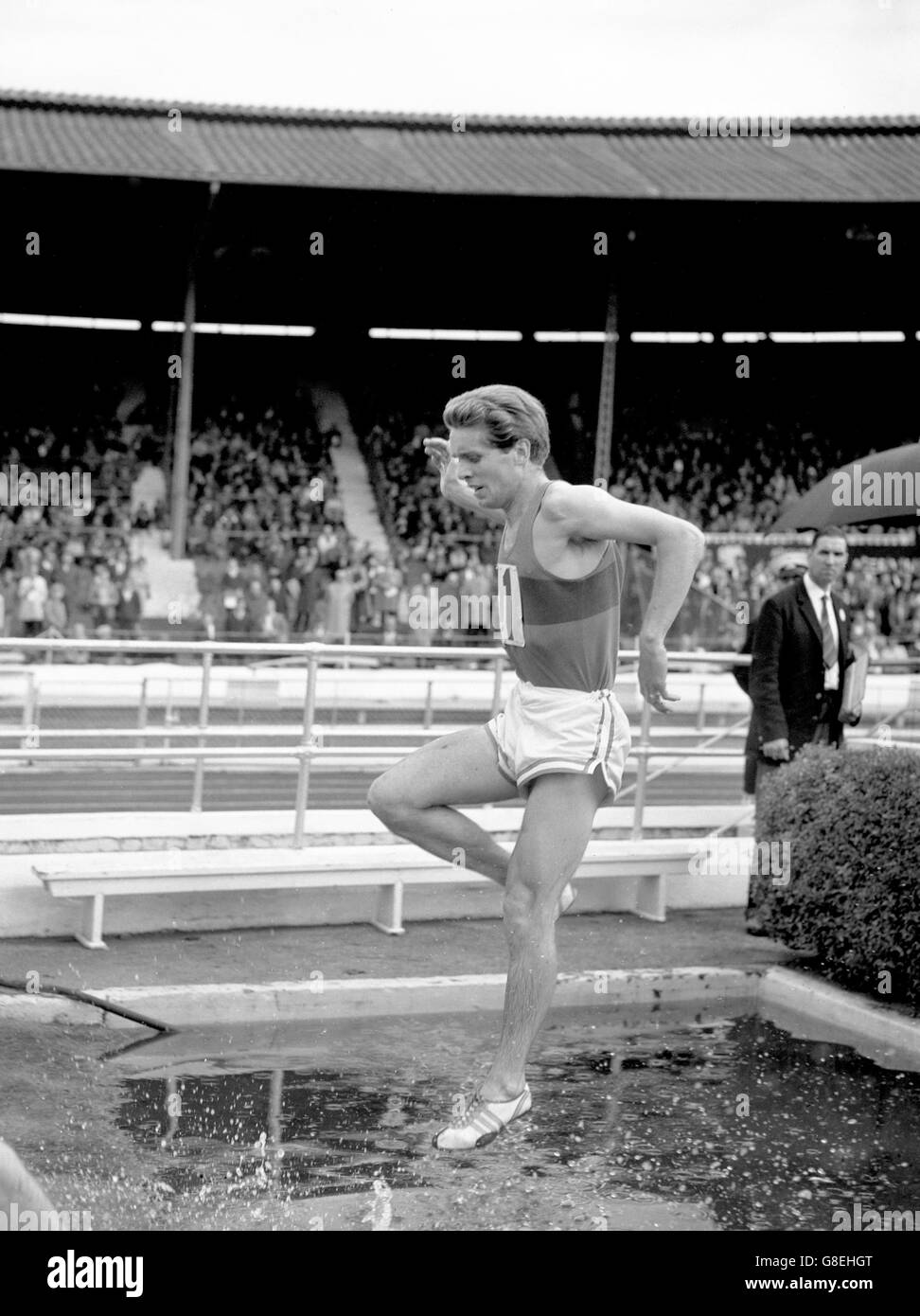 Herriott High Resolution Stock Photography and Images - Alamy