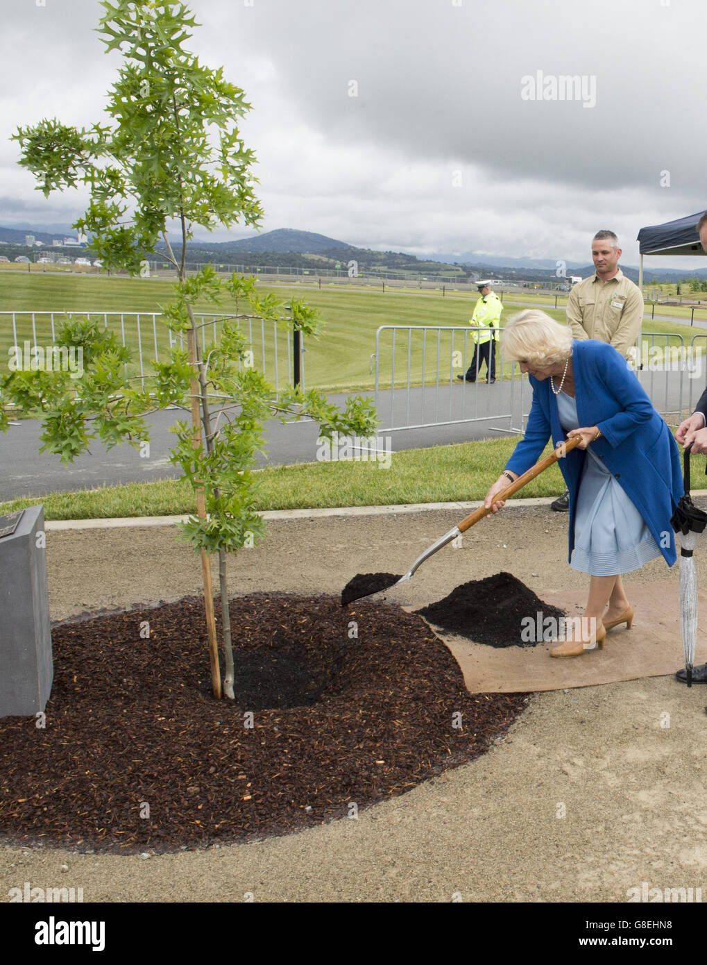 The Duchess of Cornwall helps to plant a tree during a visit to the ...