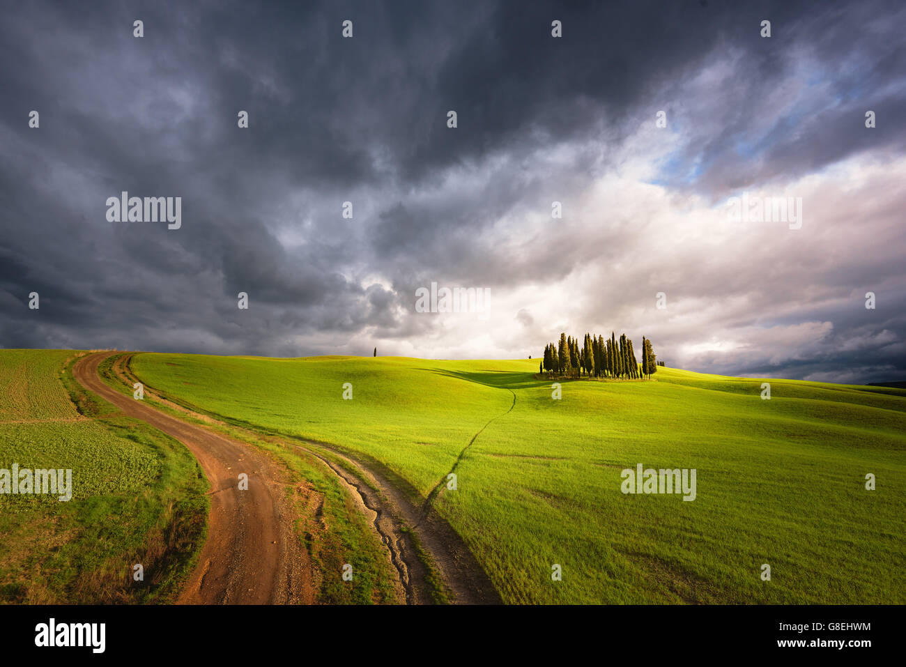 Green trees on spring hi-res stock photography and images - Alamy