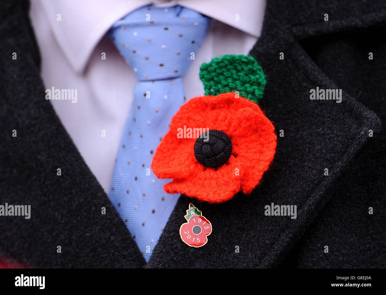 A homemade woollen poppy worn by a member of the public in Royal ...