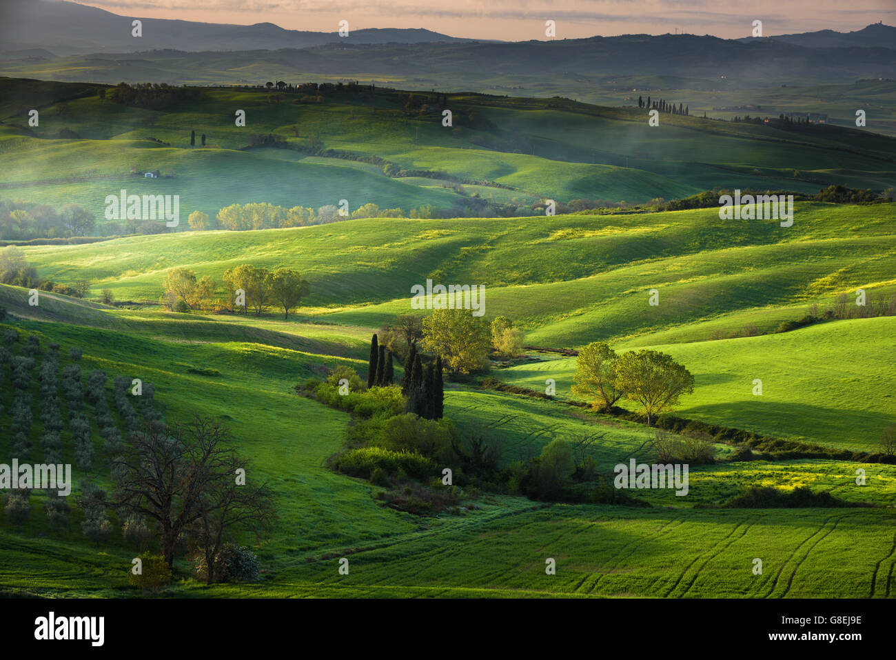 Green land during spring hi-res stock photography and images - Alamy