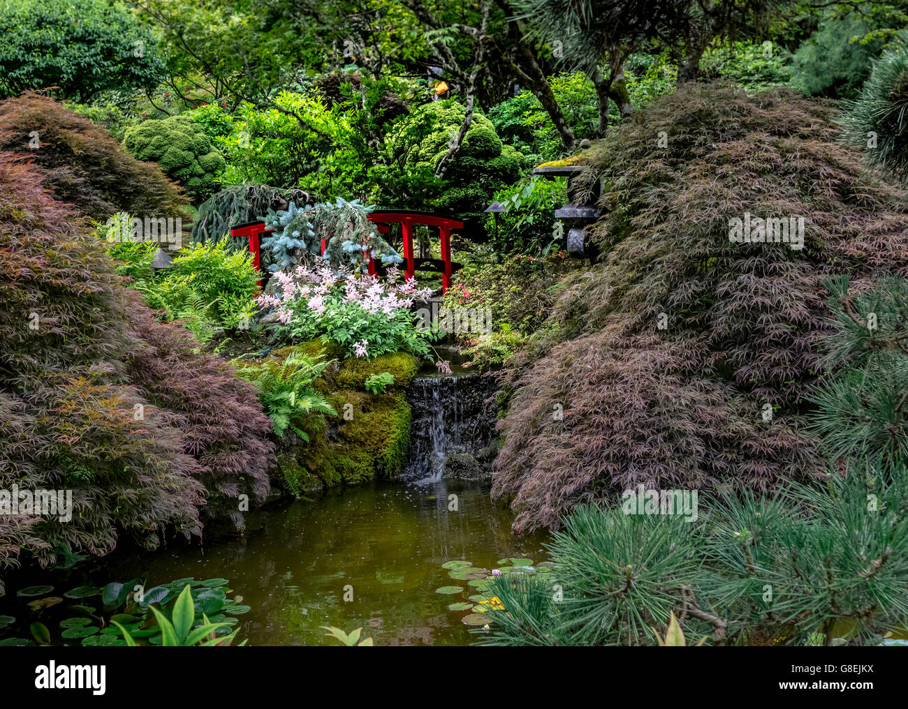 Japanese Water Bridge Stock Photo - Alamy