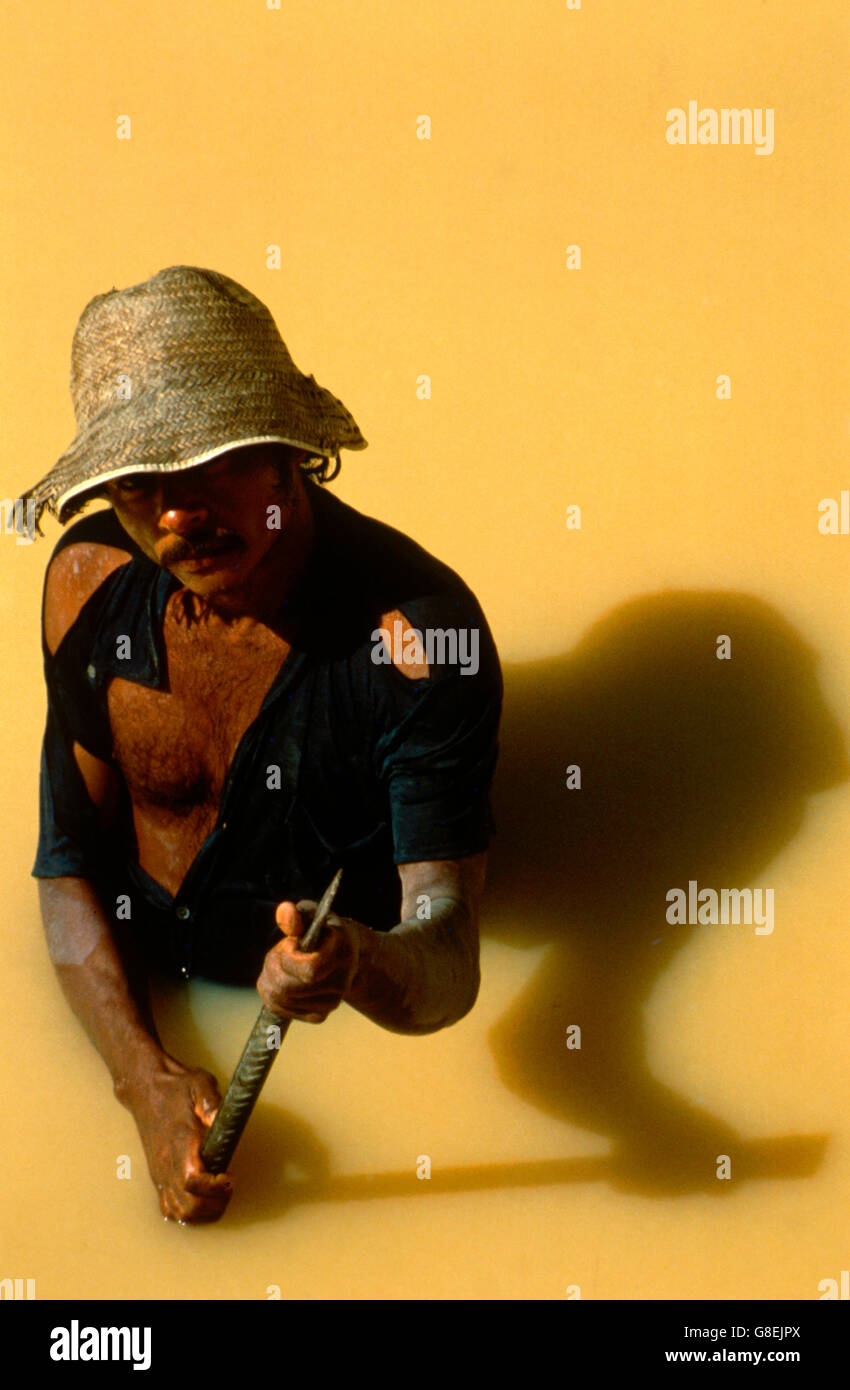 Traditional gold mining in Amazon rain forest, Brazil - dredging mining ...