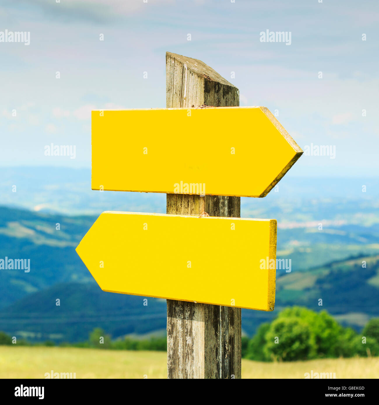 Wooden road pointer at daylight over nature background Stock Photo - Alamy