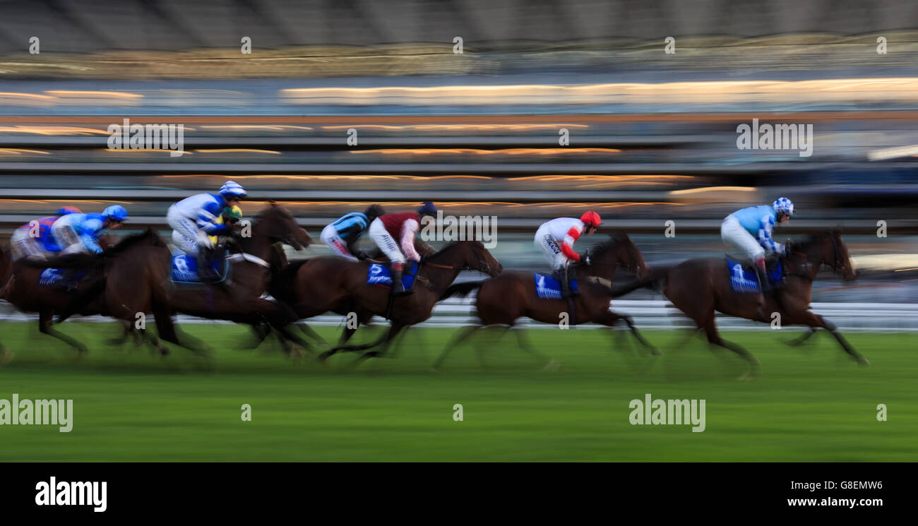 Ascot Racecourse - November Racing Weekend Stock Photo - Alamy