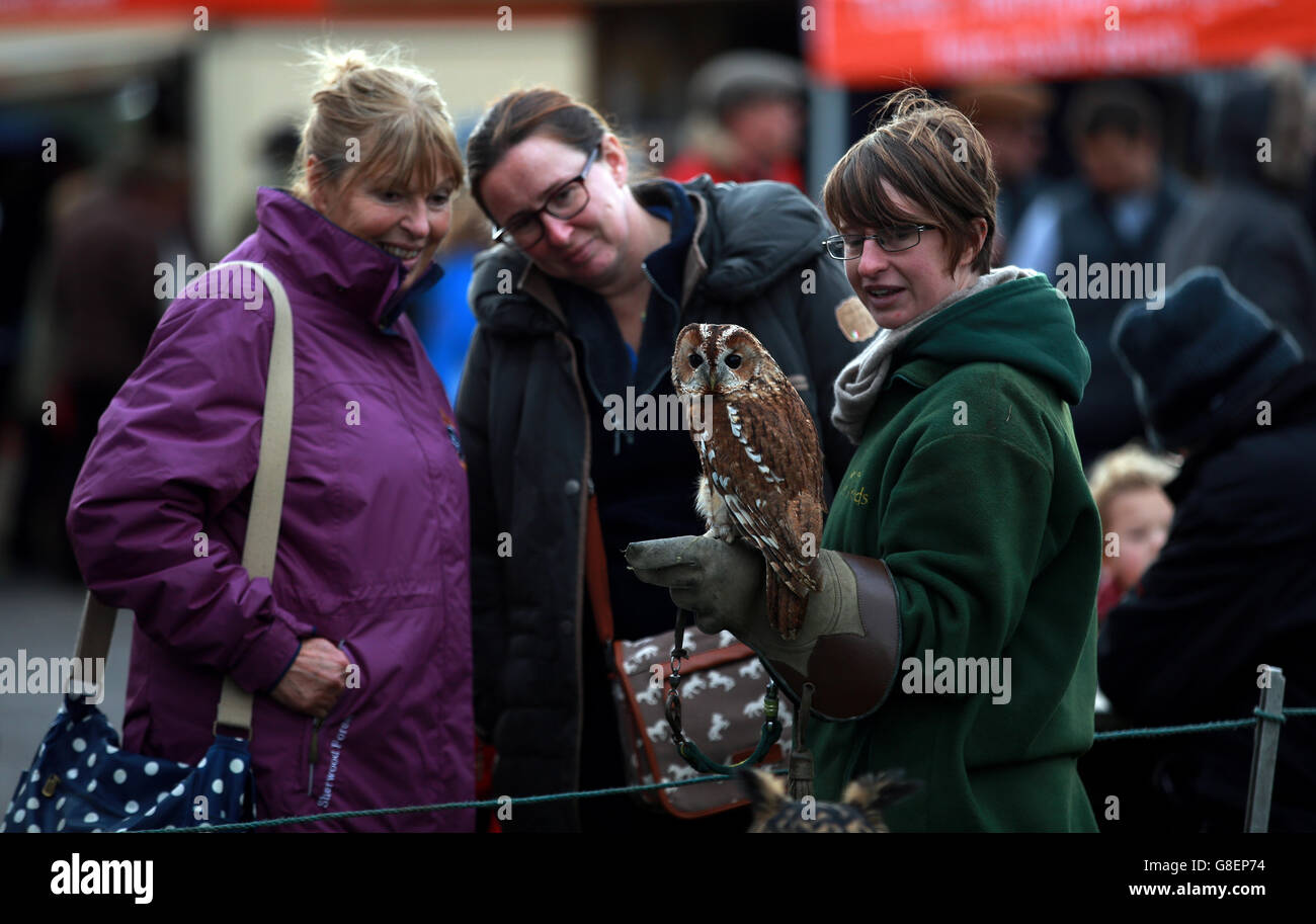 Exeter Racecourse - Higos Insurance Services Devon Day Stock Photo - Alamy