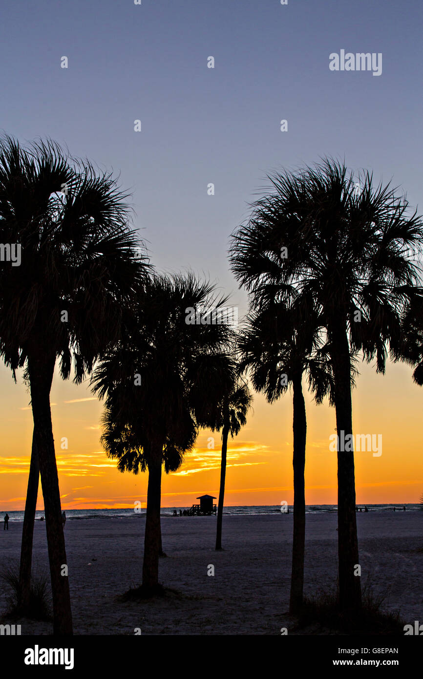 Sunset at Siesta Key beach and Gulf of Mexico in Sarasota, Florida ...