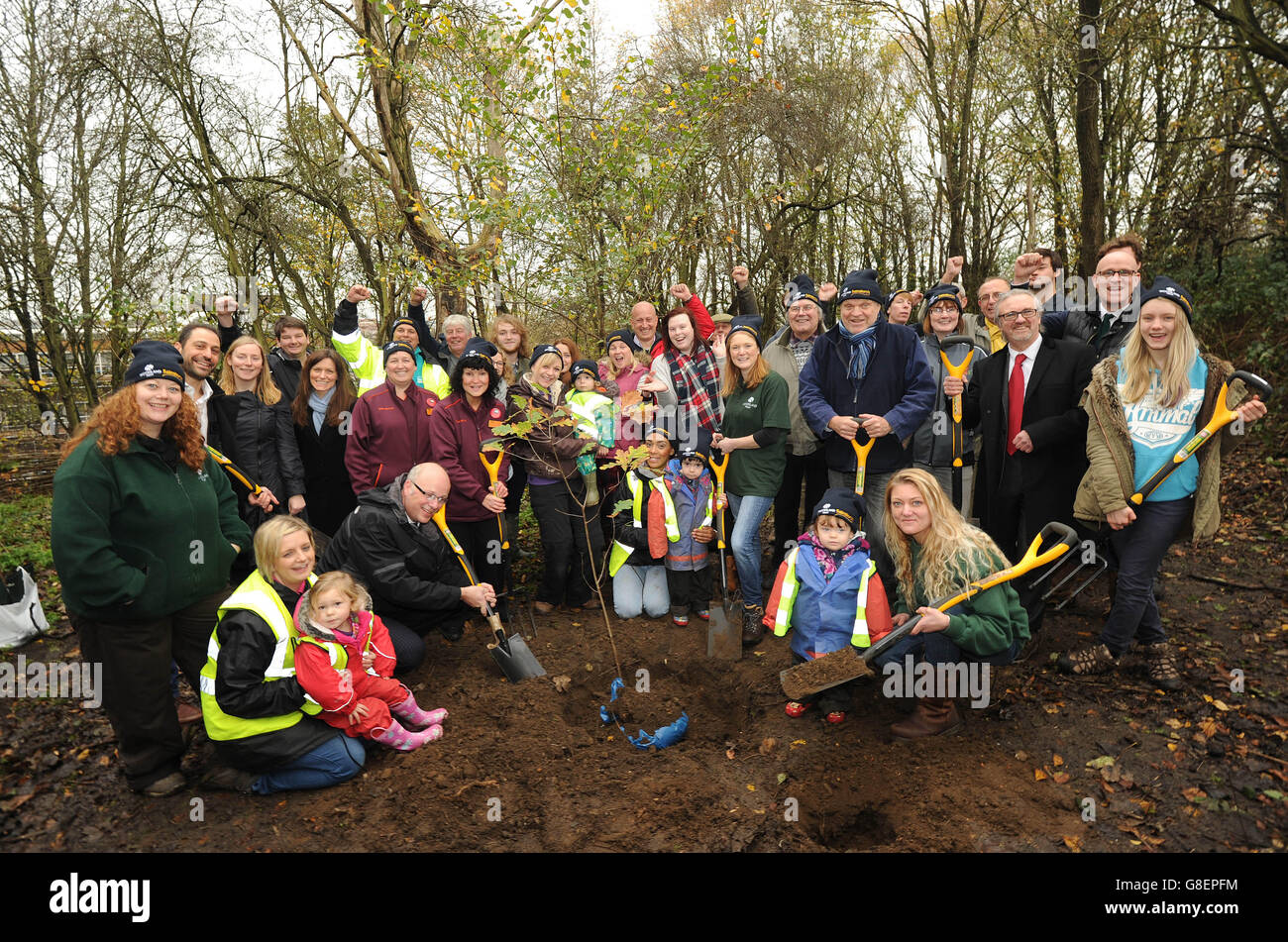 First World War Centenary Woods Project Stock Photo - Alamy