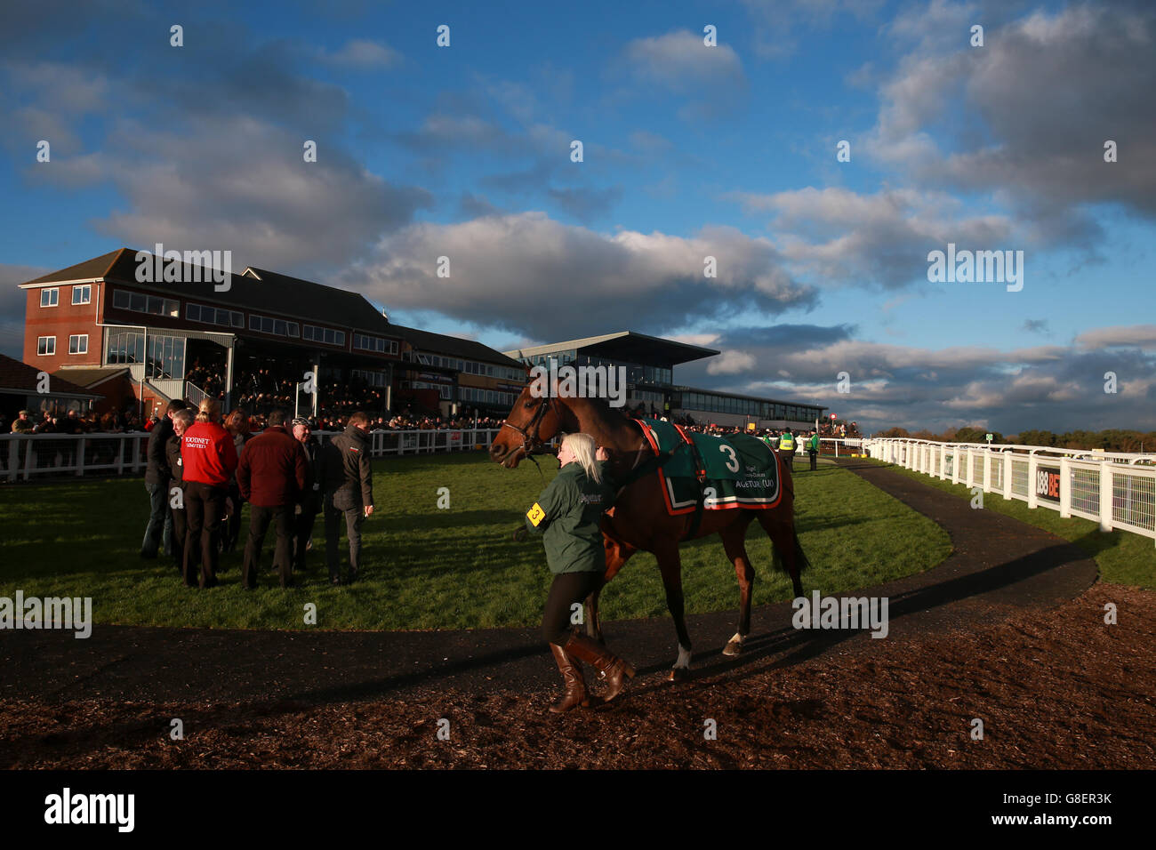 Chase exeter racecourse hi-res stock photography and images - Alamy