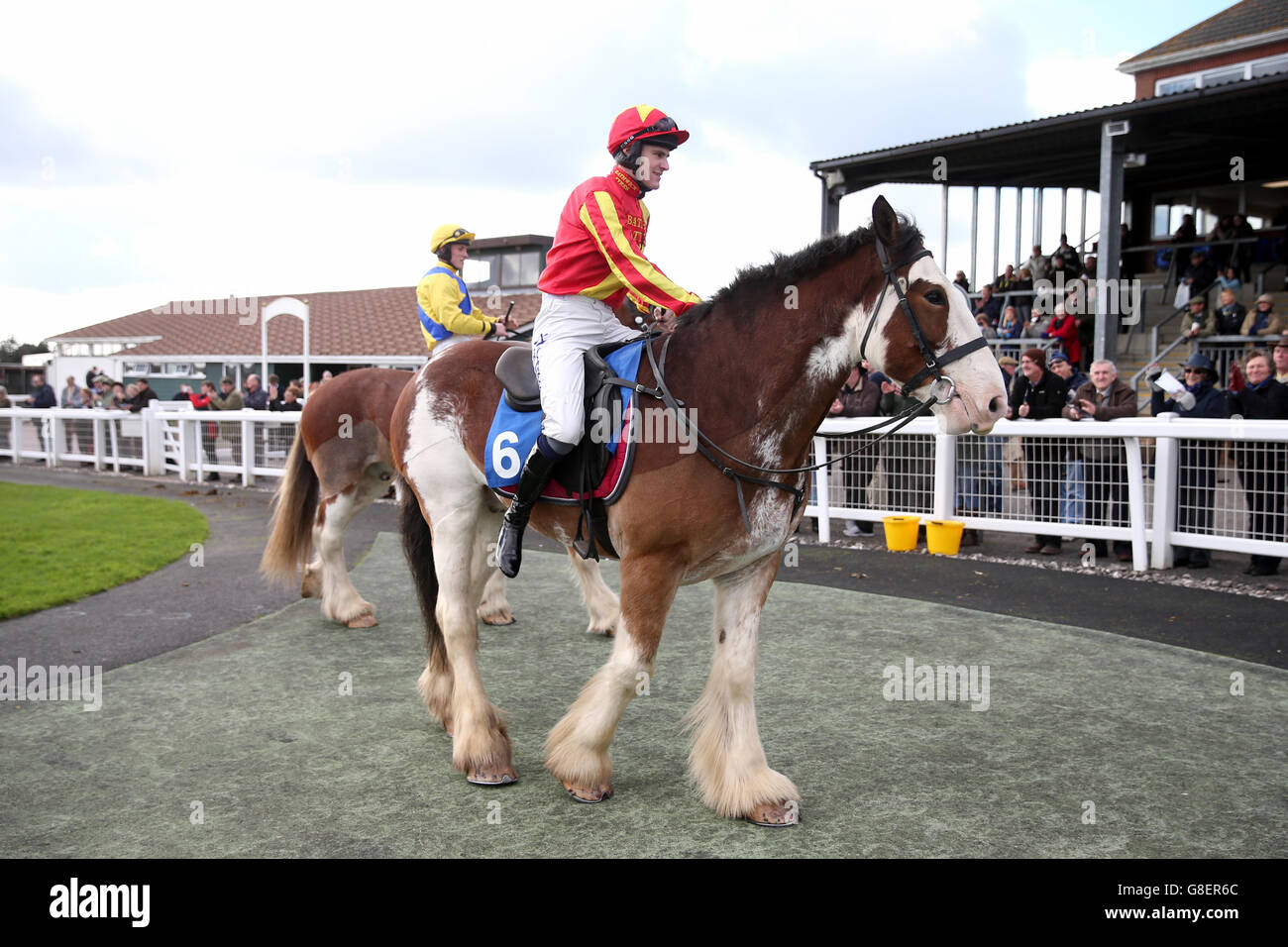 Exeter Racecourse - Higos Insurance Services Devon Day Stock Photo - Alamy