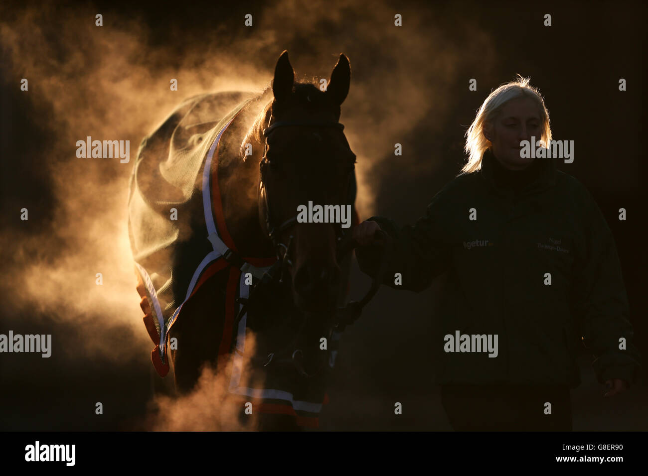 Exeter Racecourse - Higos Insurance Services Devon Day. Lac Sacre after ...