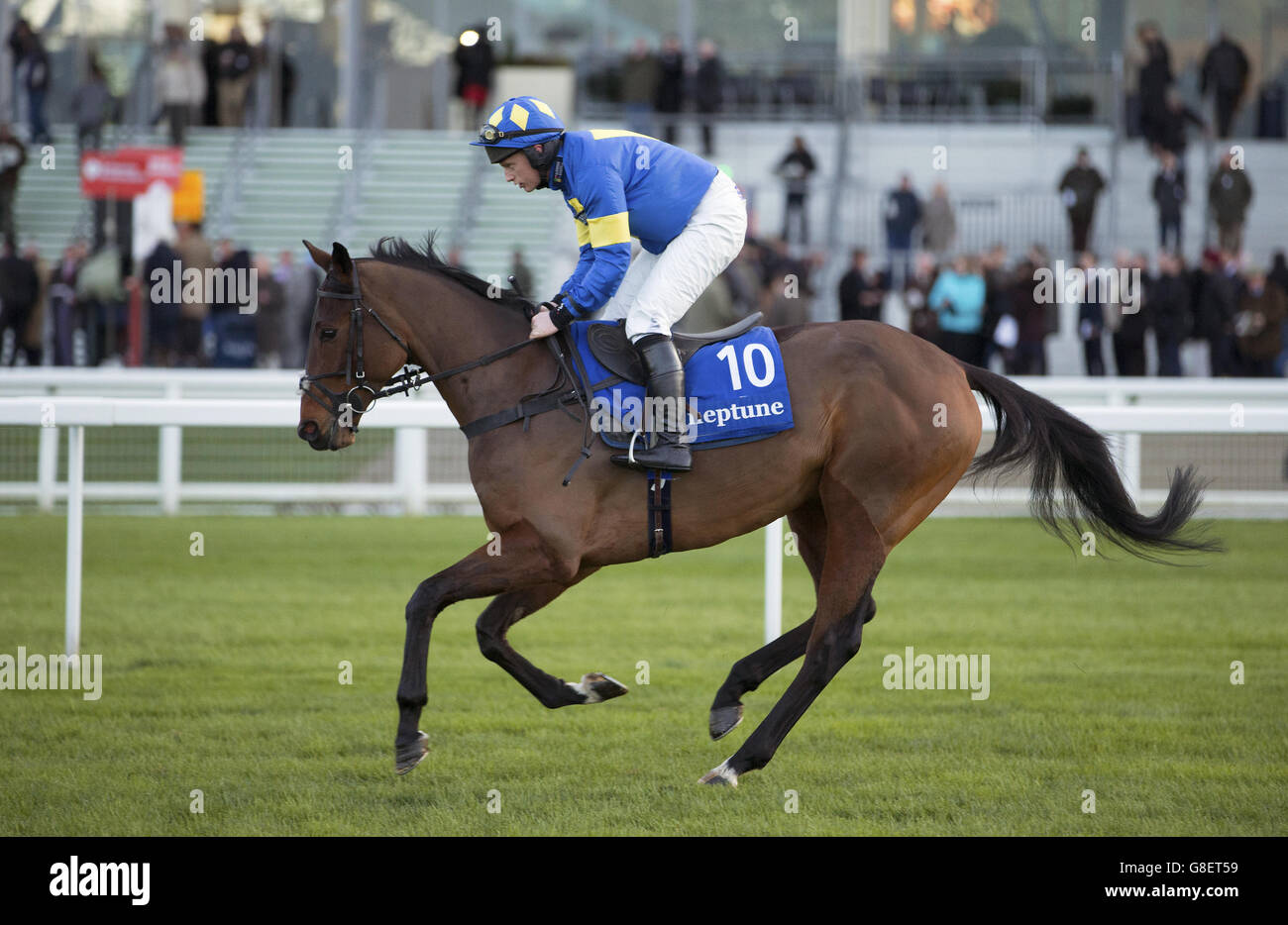 Ascot Racecourse - November Racing Weekend Stock Photo - Alamy