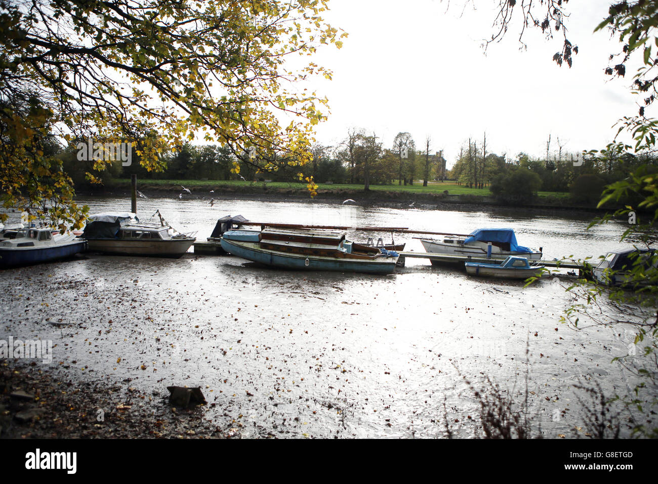 The river Thames in Twickenham at low tide, after it was drained for ...