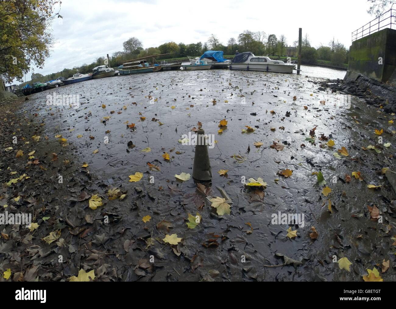 The river Thames in Twickenham, after it was drained for the annual ...