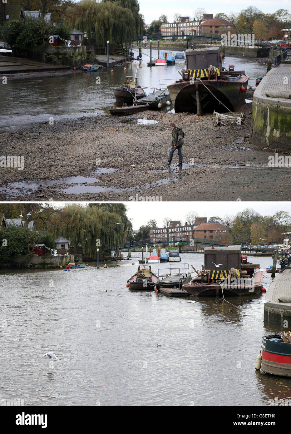 Composite picture showing the river Thames at Twickenham at low tide ...