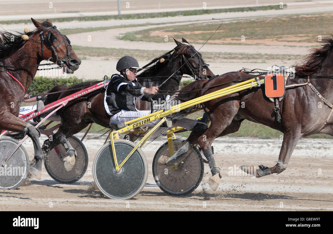 Two wheeled chariot hi-res stock photography and images - Alamy